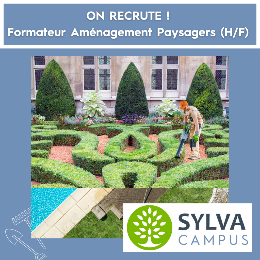 Offres d’emploi du Sylva Campus : interne et apprentissage